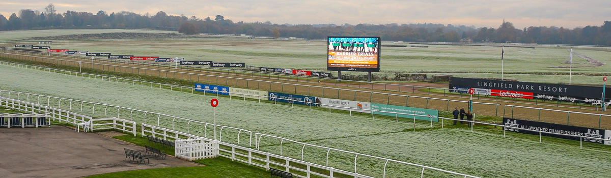 Lingfield Racecourse | Lingfield Outdoor Cinema