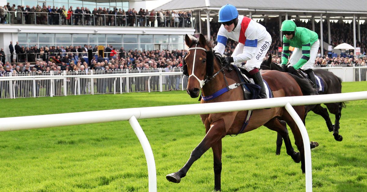 Wetherby Racecourse | Yorkshire Outdoor Cinema